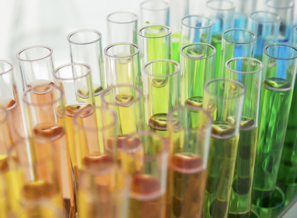 British Science Festival 2025 Community Grant - Plus One Learning